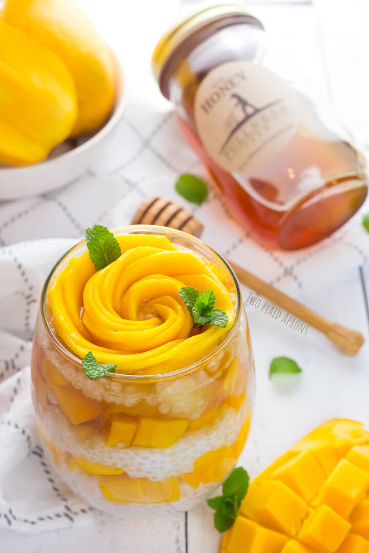 Mango Coconut Sago Recipe | Two Plaid Aprons