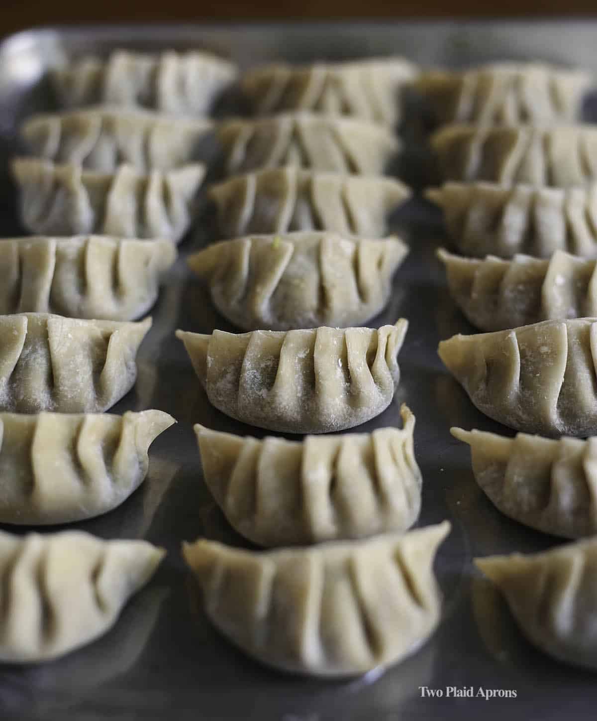 Pan-Fried Pork Dumplings with Cabbage (猪肉煎饺）| Two Plaid Aprons
