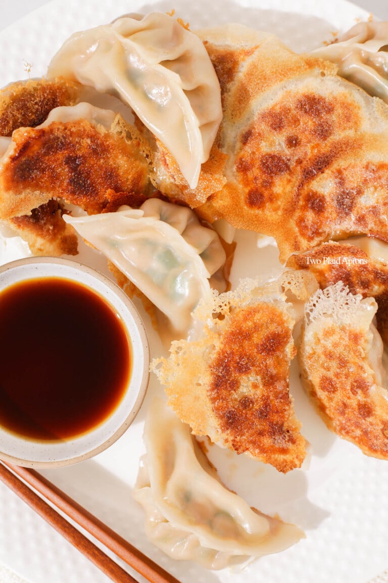 Pork and Chive Dumplings | Two Plaid Aprons